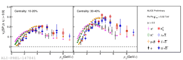 multi-strange particles v2 compare to other identified particles ...